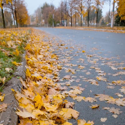 Fall Safe Driving Tips | South Jersey Personal Injury Lawyers